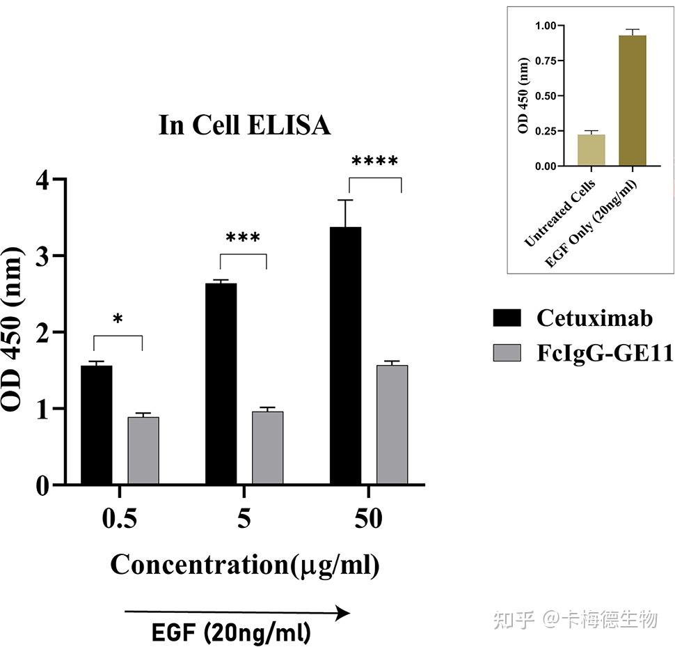 GE11肽赋能EGFR靶向：Fc融合肽在癌症治疗中的创新应用探索 - 知乎