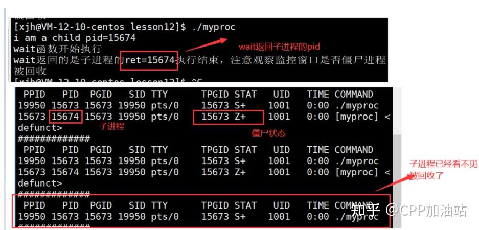 【Linux】进程控制（wait 和 waitpid）的理解和使用 - 知乎