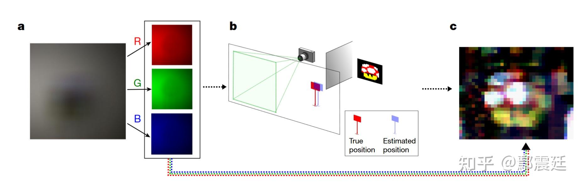 Computational periscopy with an ordinary digital camera 阅读笔记 - 知乎