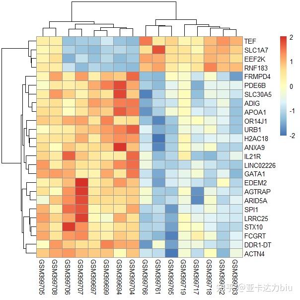 R语言热图美化pheatmap包（免费获取代码） - 知乎