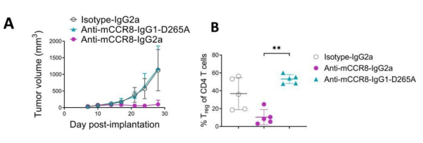 自主研发人源化小鼠模型：CCR8蛋白抗体探索肿瘤免疫治疗 - 知乎
