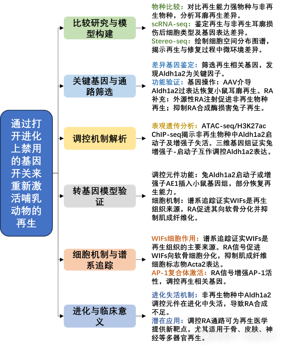Science | 逆转丢失的再生能力：激活RA通路实现小鼠耳廓完全再生 - 知乎