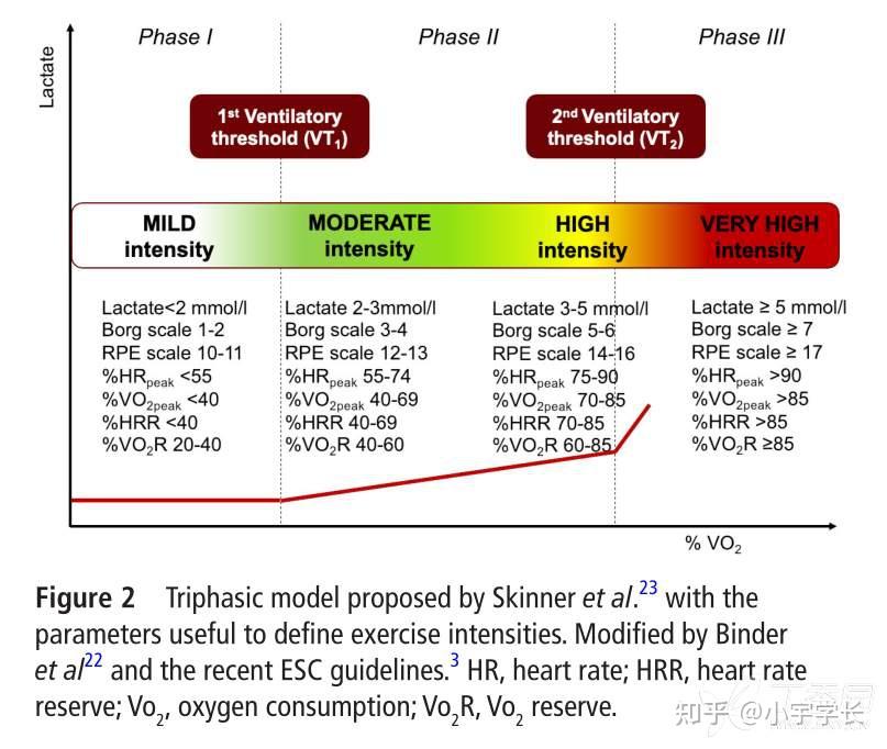 运动处方制定必备技能之心肺运动试验（CPET）— 通气阈（VT）的定义与测定 - 知乎
