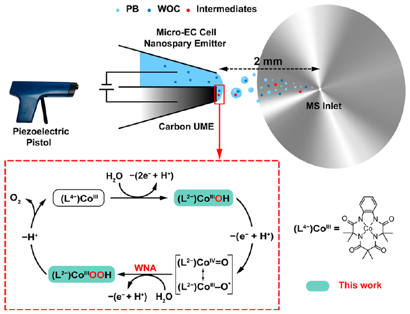 首次发现OER新中间体！最新JACS，原位电化学质谱值得关注 - 知乎