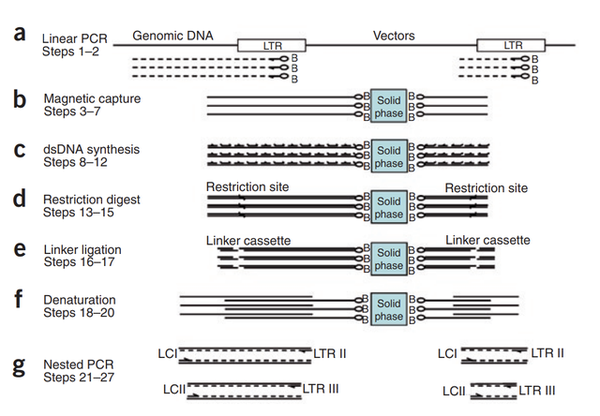 IVD技术分析｜LAM-PCR - 知乎