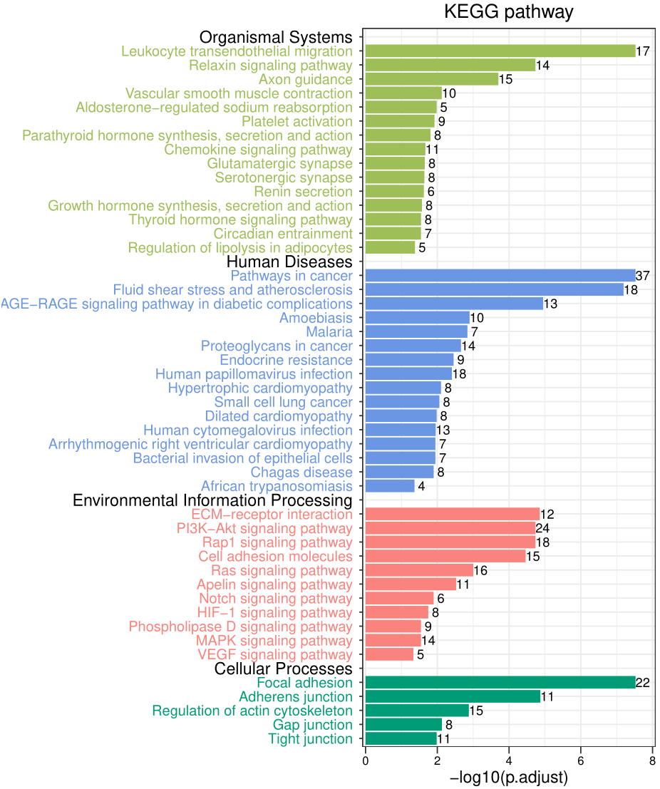 【单细胞高级绘图】07.KEGG富集结果展示 - 知乎