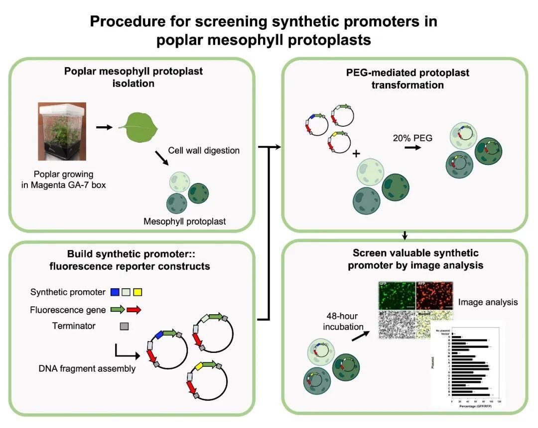 Bio-protocol | 2023年4月20日最新上线实验方案目录 - 知乎