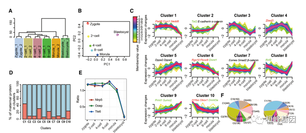 RNA 34. SCI 文章基因蛋白表达时间趋势分析及划分聚类群 (Mfuzz) - 知乎