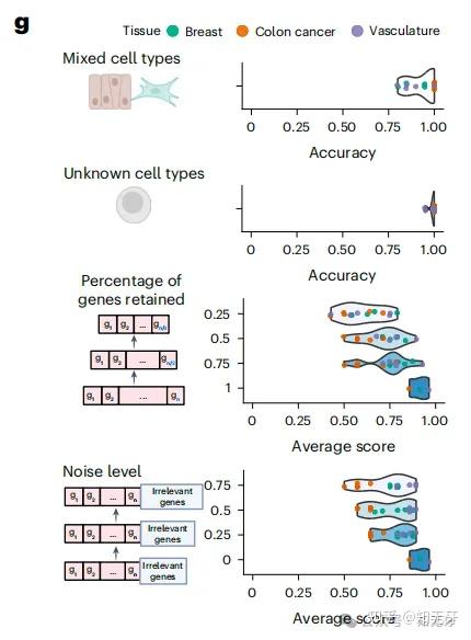 GPT-4用于单细胞测序中细胞类型注释的评估（GPTcelltype） - 知乎