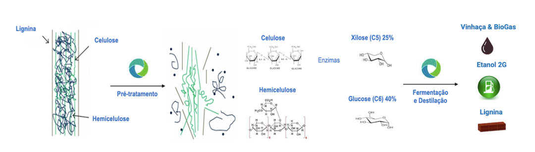 非粮生物质超级转化技术，GranBio促进碳源迭代助推商业变革 - 知乎