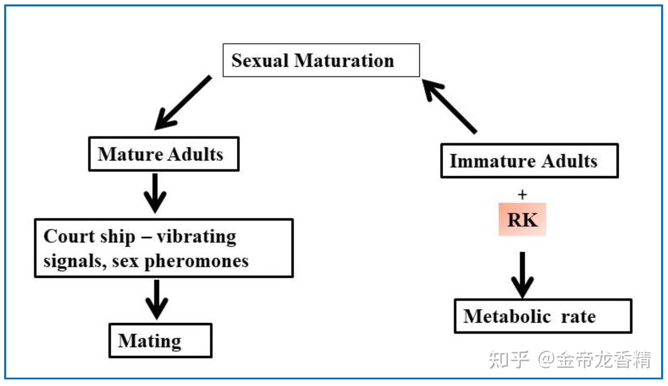 香精与香料(71)—覆盆子酮(Raspberry ketone) - 知乎