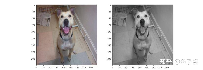 详解22种transforms数据预处理方法 - 知乎