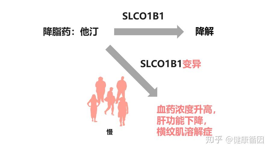 基因检测到底有什么用？ - 知乎