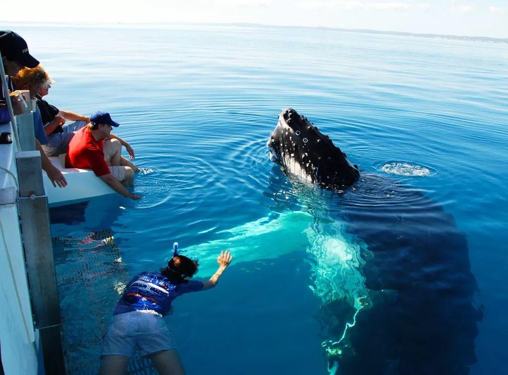 斯里兰卡观鲸8天奇幻之旅 - 知乎