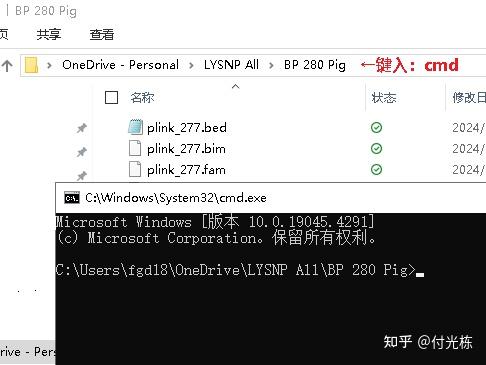 Plink遗传学数据分析工具的安装与使用 - 知乎