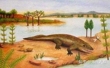 泥盆纪：两栖动物的诞生｜最早的原始两栖动物——鱼石螈 - 知乎