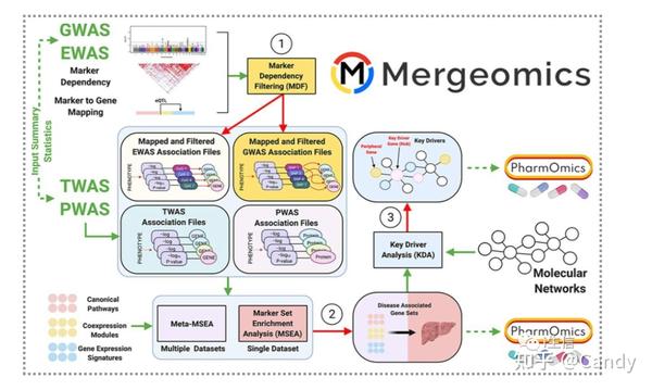 Mergeomics 2.0 简介 - 知乎