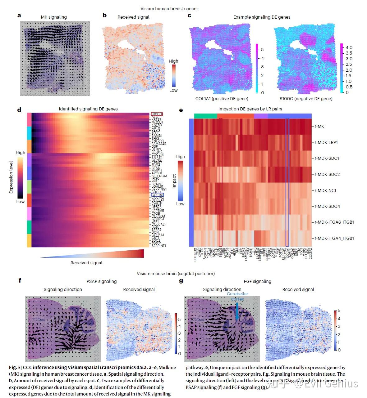 通过空间行为（optimal transport）推断空间细胞间通讯信号方向(COMMOT) - 知乎