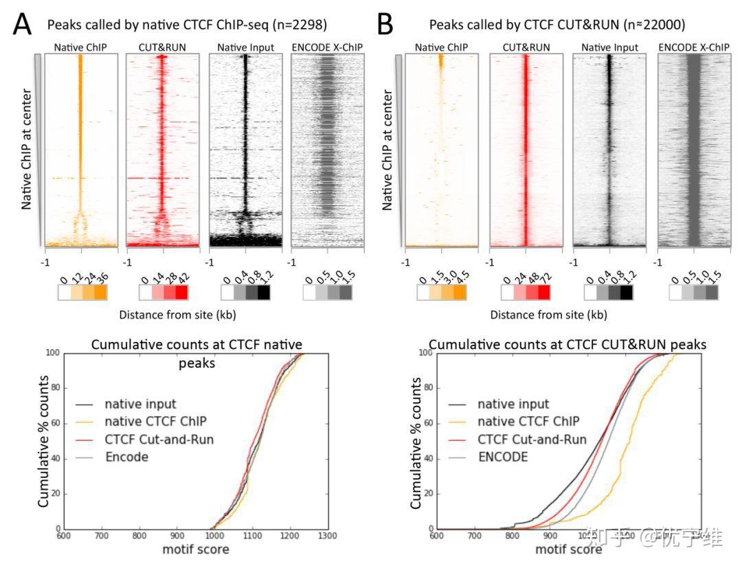 两篇文献带你快速了解CUT&RUN技术 - 知乎