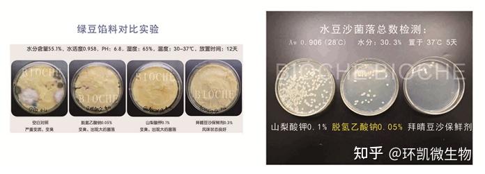 科普篇：如何理解微生物检测中的CFU？ - 知乎