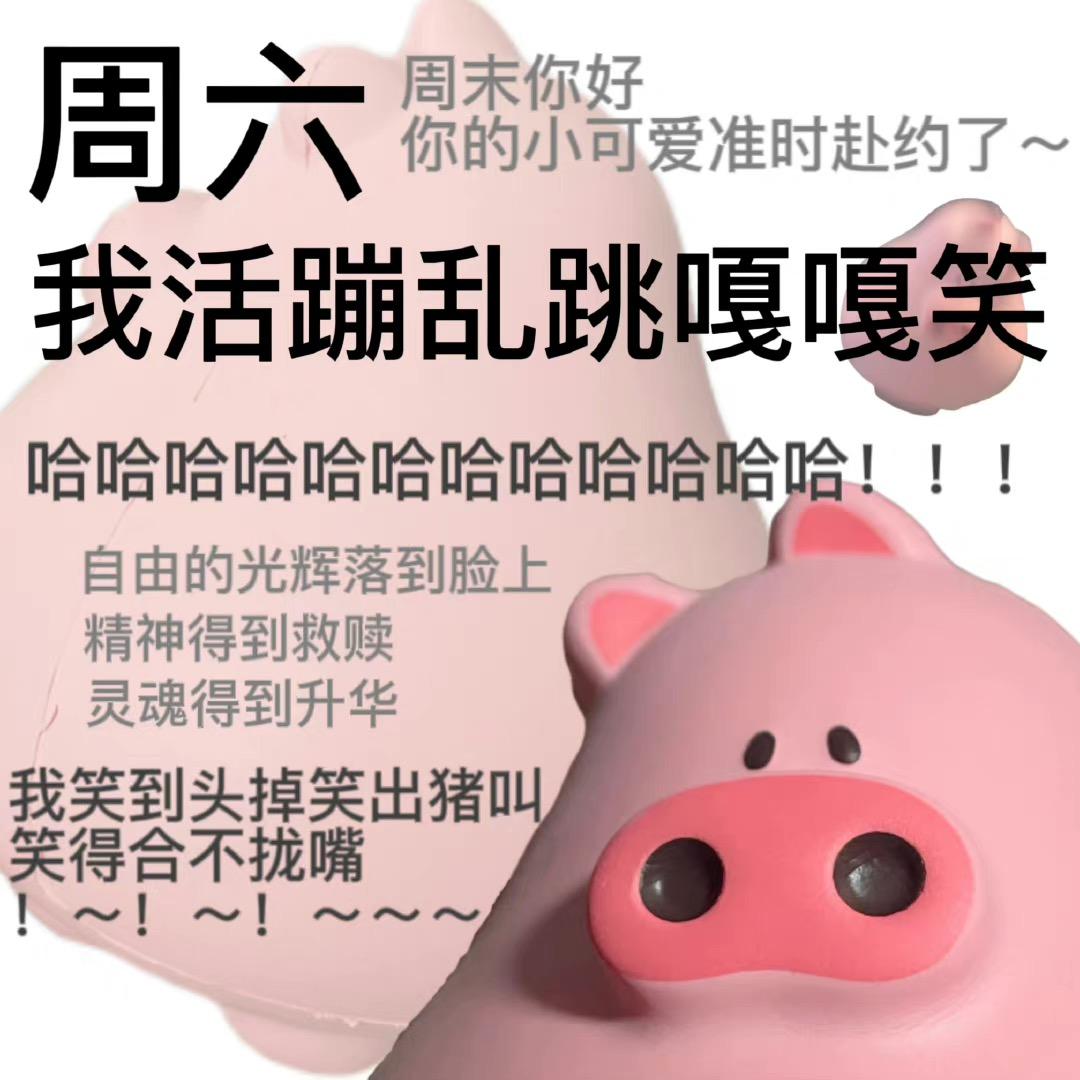 表情包：猪猪表情包 知乎