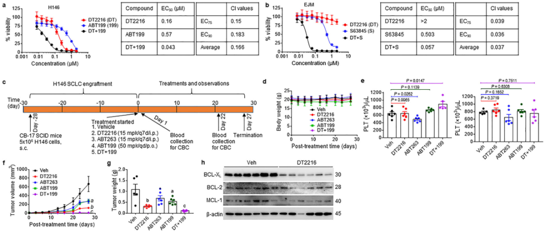 选择性 BCL-XL PROTAC 降解剂实现安全有效抗肿瘤活性 - 知乎