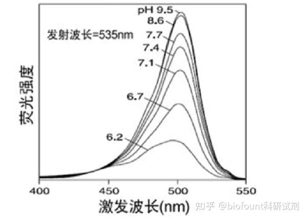 PH敏感荧光探针（BCECF-AM；ANNA） - 知乎
