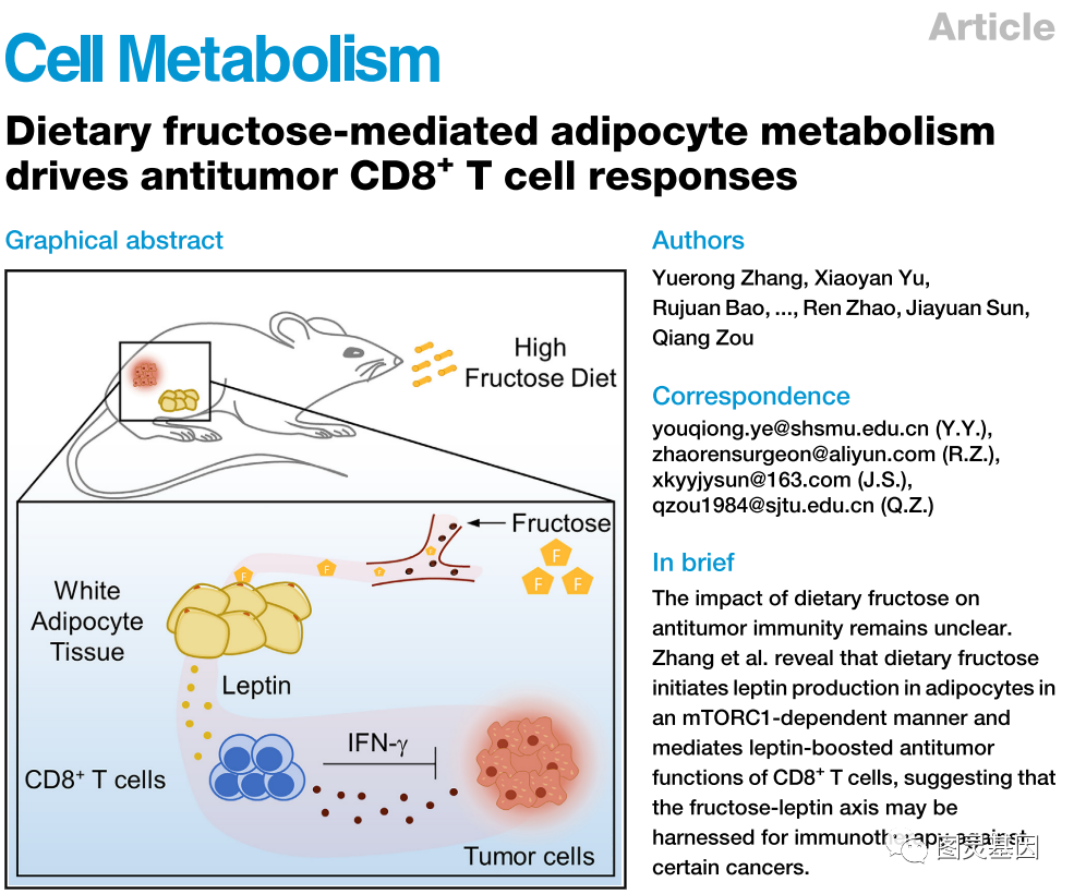 Cell Met ｜ 上海交大邹强团队颠覆性发现：膳食果糖可增强肿瘤免疫应答 - 知乎