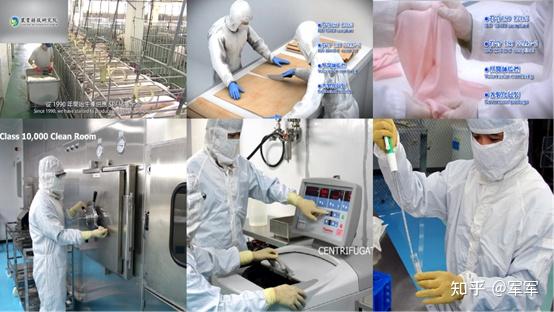 一篇文章，让你全面了解双美胶原蛋白 - 知乎