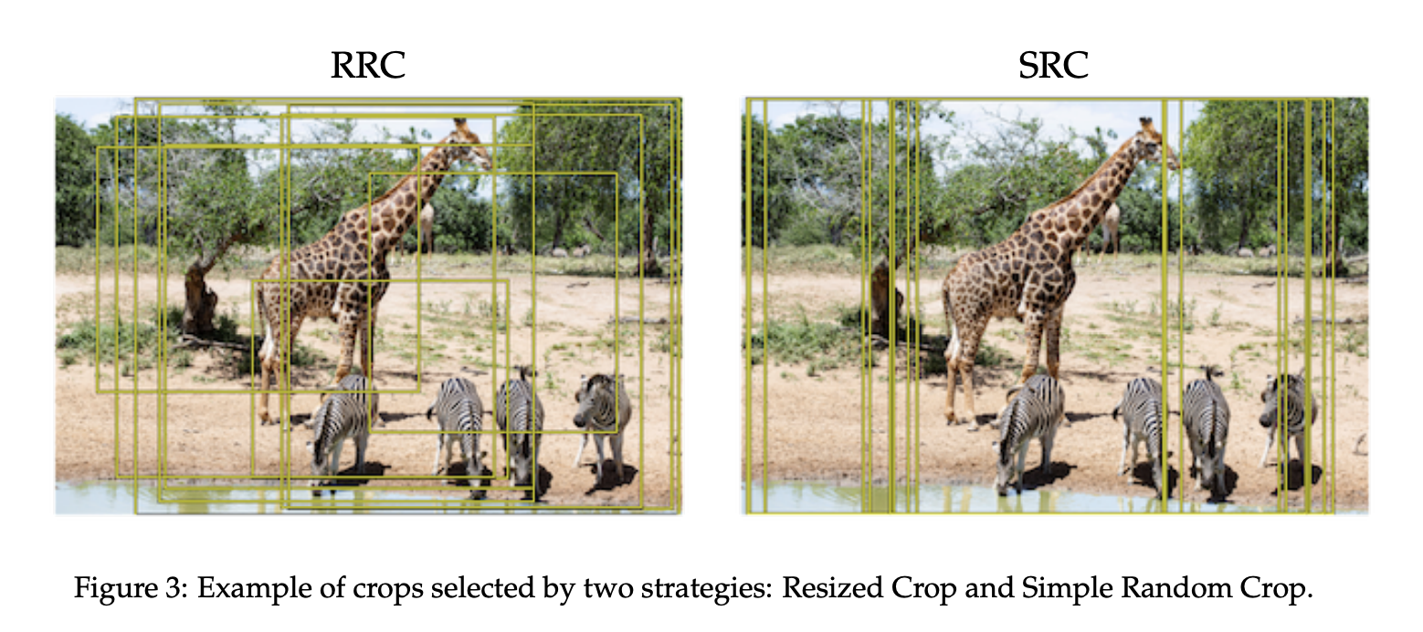 [CV]ViT的复仇 - DeiT III: Revenge of the ViT - 知乎