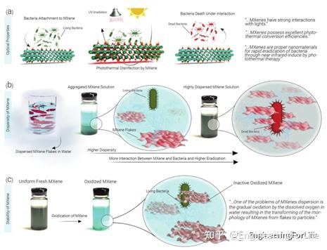 《Small》综述：一文带你了解Mxenes如何成为抗菌材料的新宠儿 - 知乎