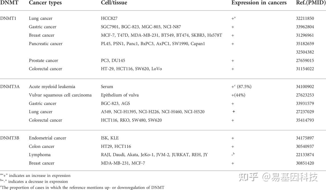 易基因｜不同DNA甲基转移酶（DNMT）在癌症发病机制中的作用： 深度综述 - 知乎