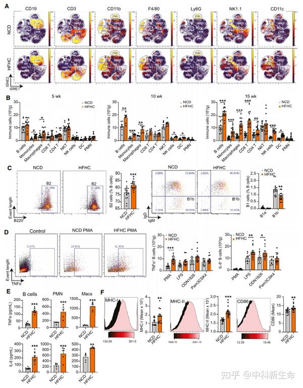 Hepatology（IF 17.425）| 明尼苏达大学Revelo教授团队通过单细胞转录组揭示肠道菌群加重脂肪肝的潜在机制 - 知乎