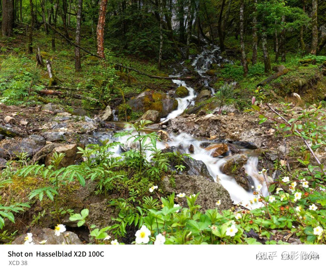 哈苏 X2D-100C 深度测评！一亿像素中画幅无反相机 - 知乎