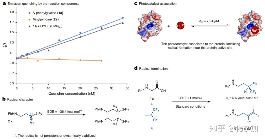 Nat. Catal.：“光”、“酶”协同催化的对映选择性脱羧烷基化反应 - 知乎