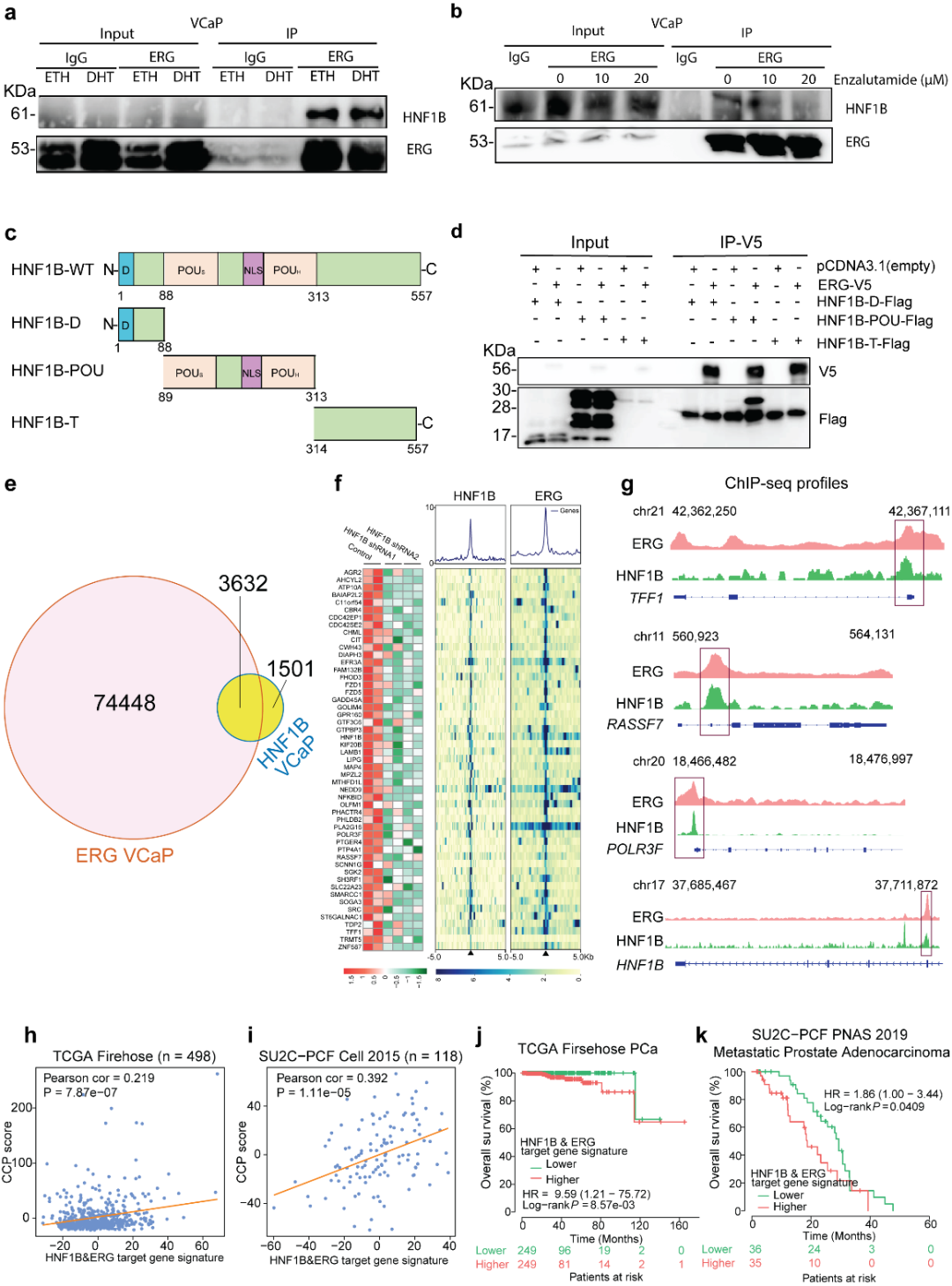 Nat Commun︱卫功宏团队揭示广泛的胚系-体细胞突变互作促进前列腺癌进展 - 知乎