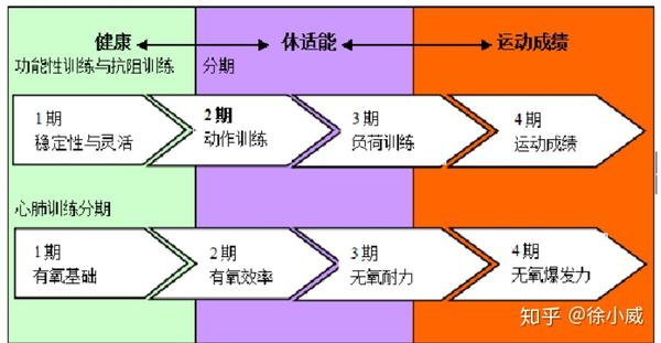 NASM OPT模型和 ACE IFT模式 - 知乎