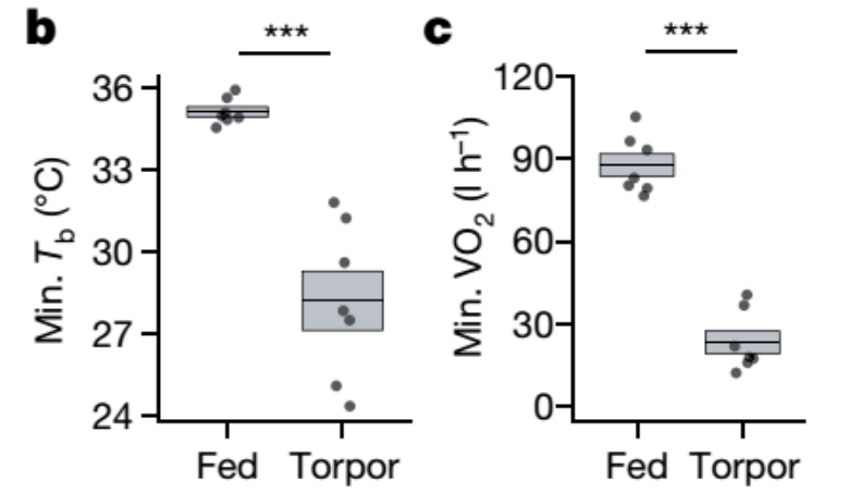 【文献解读】小鼠下丘脑特定神经元群调控低体温症状 - 知乎