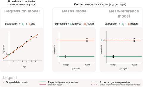 史上最详细的design matrix与contrast指南！生物信息｜RNA-seq差异表达分析 - 知乎