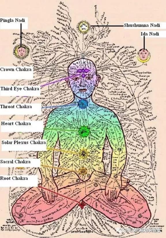 左脉、右脉与中脉 | 身体内部的能量互联网（Nadis） - 知乎