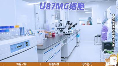 U87MG细胞培养，人恶性胶质母细胞瘤细胞培养攻略 - 知乎