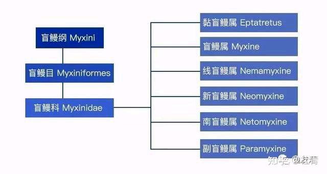 准确掌握鱼种分类 — 思维导图 - 知乎
