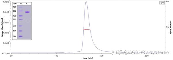 结构专家又添新作：经抗体验证的RSV Pre & Post F蛋白 - 知乎