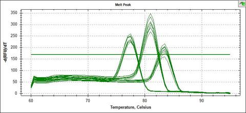 一文讲清qPCR（荧光定量PCR）的Ct值 - 知乎