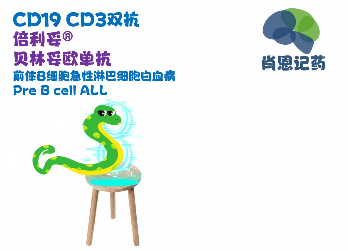 记住所有FDA生物药 | CD19、CD3双抗 | 倍利妥®贝林妥欧单抗 | 前体B细胞急性淋巴细胞白血病 - 知乎