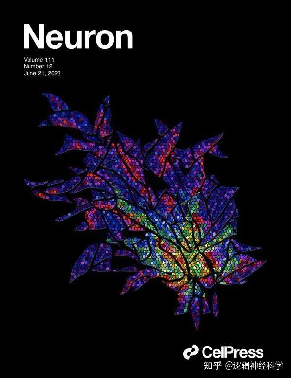 Neuron︱收藏！2023年期刊封面文章汇总 - 知乎