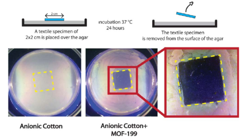 Bio Mater. | MOF在生物技术方面的应用 - 知乎