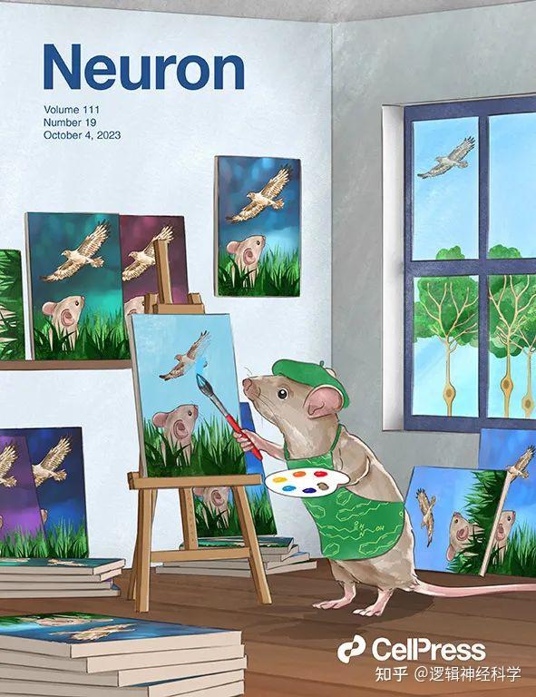 Neuron︱收藏！2023年期刊封面文章汇总 - 知乎