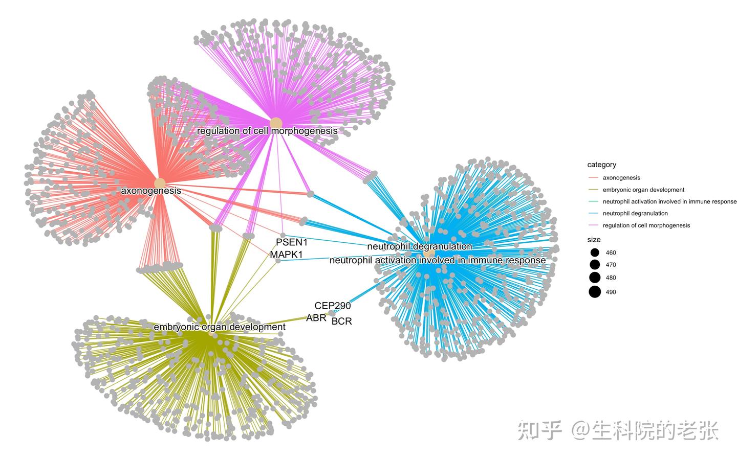 最全的GO, KEGG, GSEA分析教程(R),你要的高端可视化都在这啦！[包含富集圈图] - 知乎