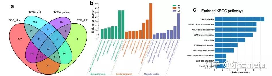 肿瘤免疫浸润+WGCNA， 5+“骚操作” - 知乎